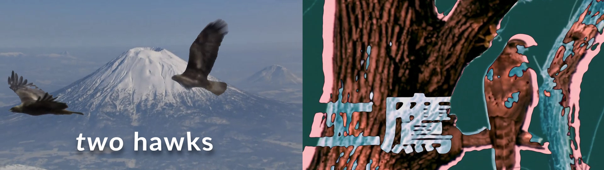 Midi Onodera – Moving Image Artist